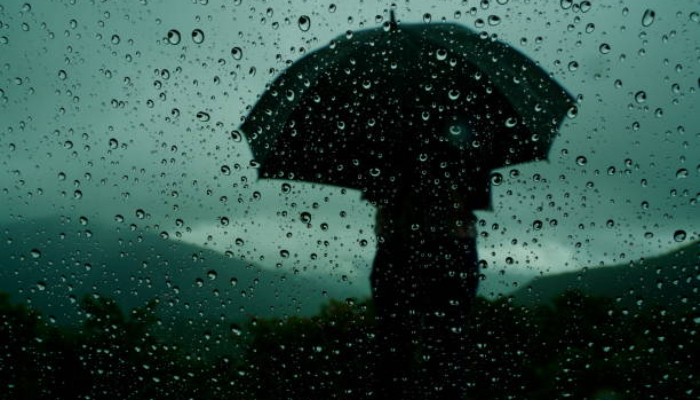 Weather: Kerala to receive heavy rainfall for five days, orange alert ...