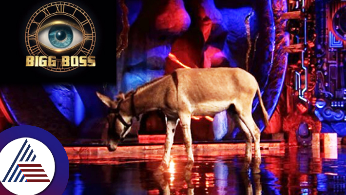 Bigg Boss 18: Donkey to live with contestants on Salman Khan's popular ...