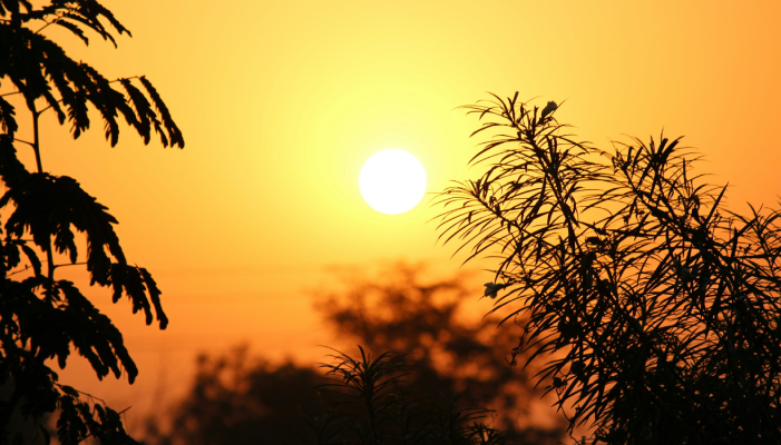 How the Sun was born and what keeps it burning so hot; Check here ...