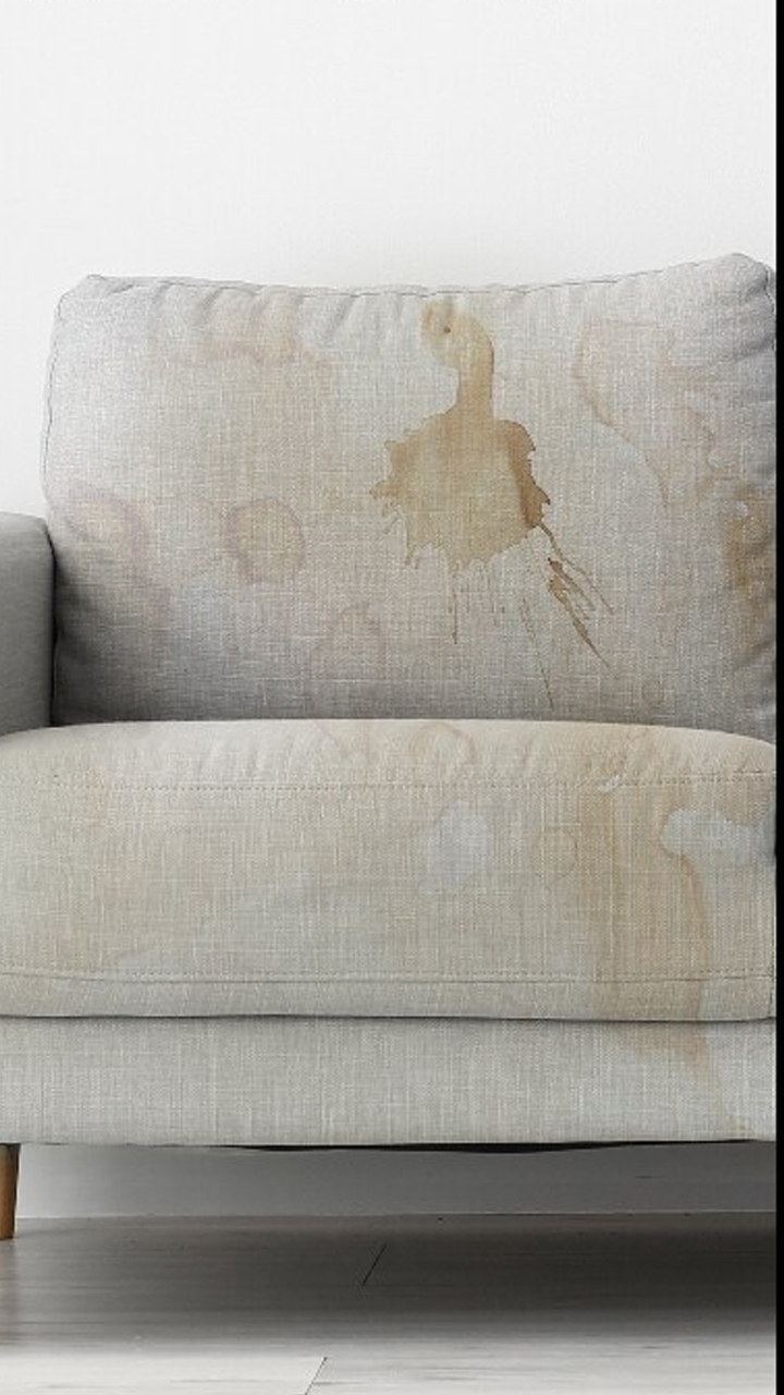 Tips and tricks to clean Sofa Cushions at home | Asianet Newsable