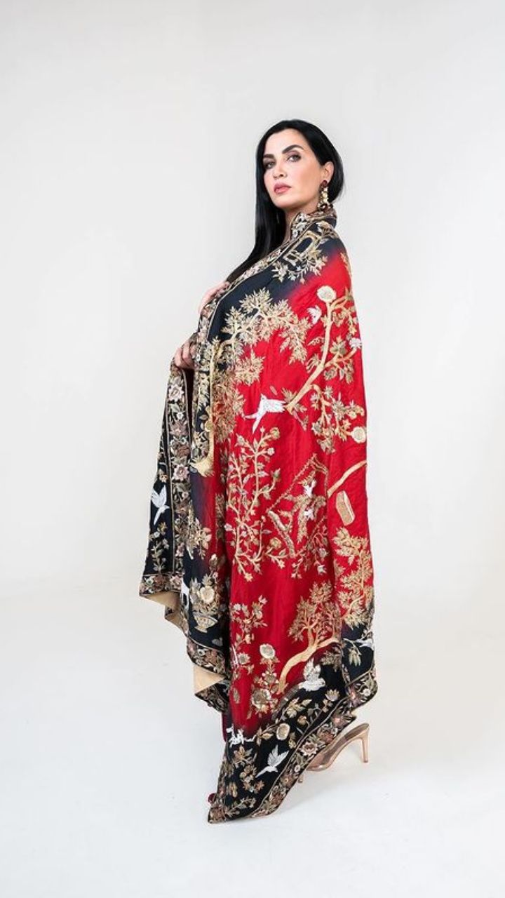 बुनाई की दुनिया का जादू: रींद पोश कानी के अनकहे राज! - know about rind ...