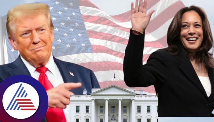 Donald Trump or Kamala Harris - Who will be next US president ...
