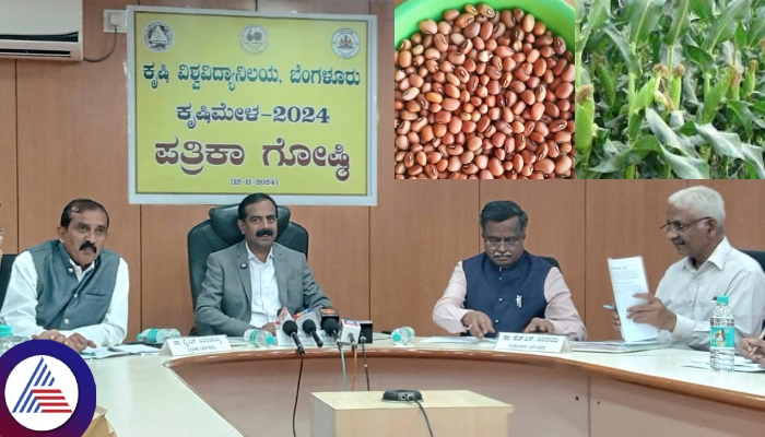 Bengaluru GKVK Krishi Mela ನ.14ರಿಂದ ಆರಂಭ; ನಾಲ್ಕು ಹೊಸ ತಳಿಗಳ ಬಿಡುಗಡೆ! - Bengaluru GKVK Krishi Mela ...