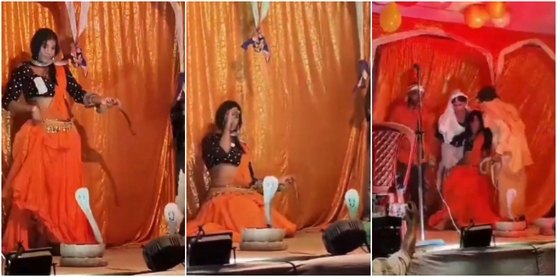 Video: Bitten by venomous snake during live snake dance, performer continues dance fainted on ...