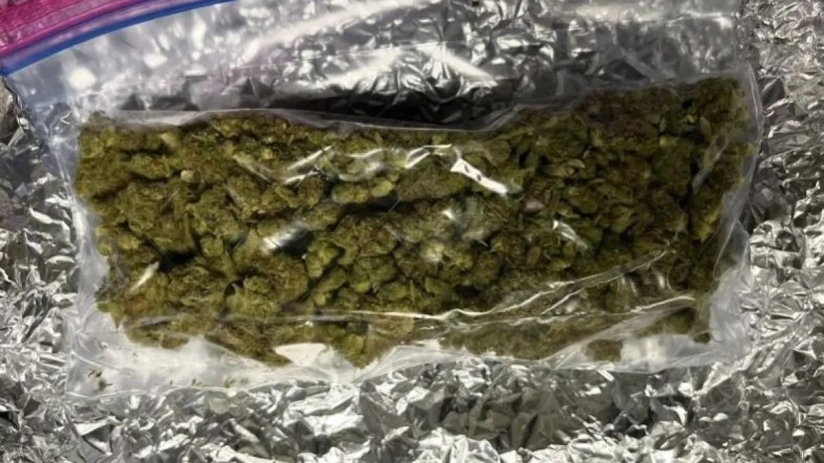 US Uber Eats driver finds bag of marijuana in what she thought was ...