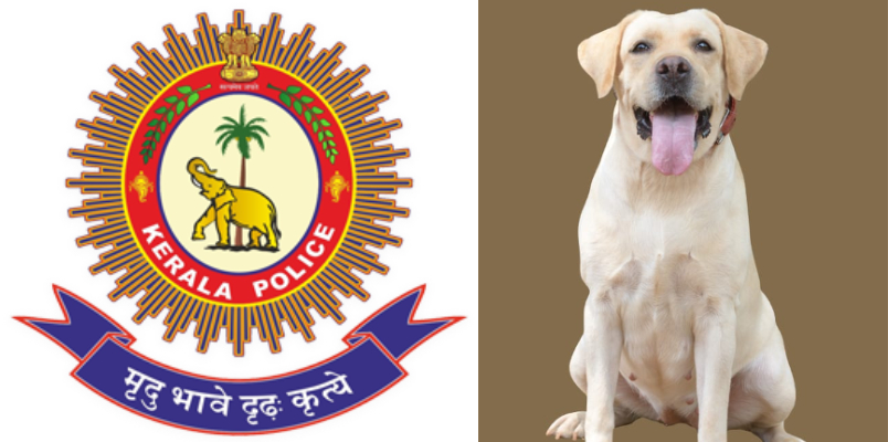 പൊലീസിൽ ചേര്‍ന്നിട്ട് എട്ട് വര്‍ഷവും നാല് മാസവും 17 ദിവസവും; കേരള ...