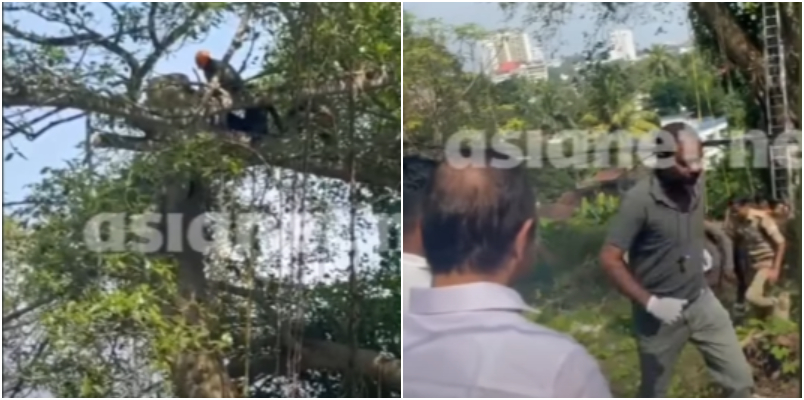 Fingers stuck in between trees while cutting trees at Cantonment House ...