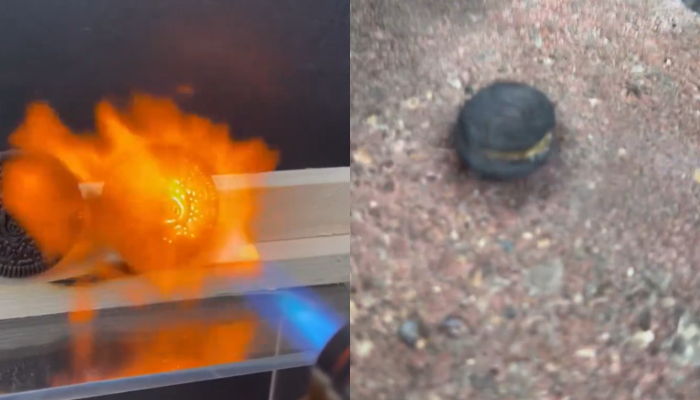 Bizarre video shows Oreos withstanding fire, sparks internet curiosity ...