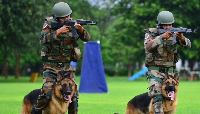 Indian Army's Remount and Veterinary Corps falls short on training ...