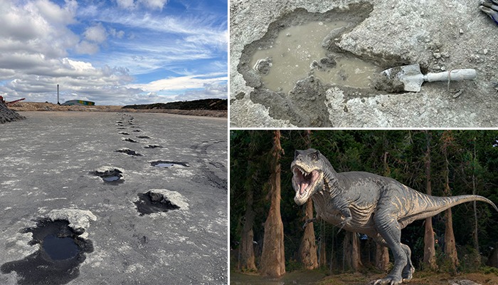 UNEARTHED! UK's largest dinosaur footprint site reveals tracks from 166 ...