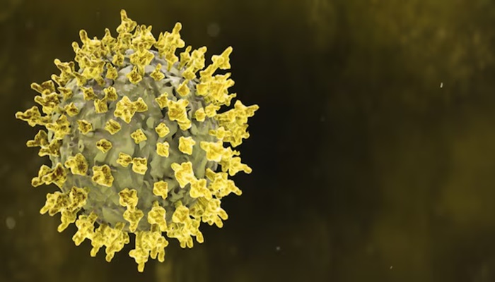 Is HMPV a new pathogen? Why infants and elderly are vulnerable ...