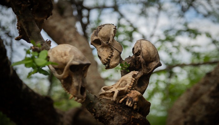 GROUNDBREAKING: Scientists reveal face of 'completely lost' human ...