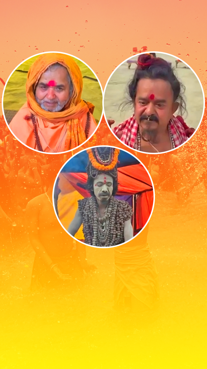 IITian Baba to Hath Yogi-9 Unique Babas of Prayagraj Kumbh Mela ...
