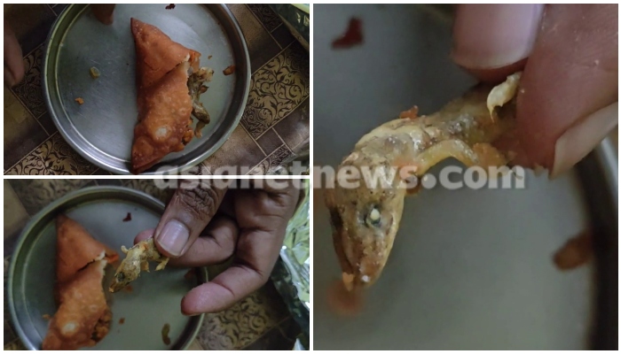 dead lizard found from samosa ഹോട്ടലിൽ നിന്നും പാഴ്സൽ വാങ്ങിയ സമൂസയില് ...