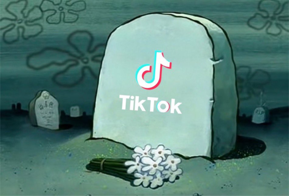 TikTok ban takes effect in US: 'RIP TikTok' memes flood social media ...