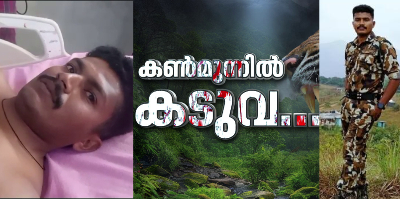 wayanad tiger attack latest news forest rrt team member jayasurya ...