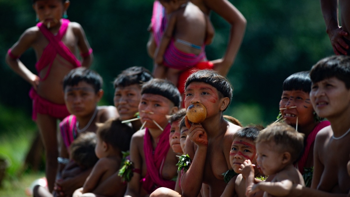 यानोमामी जनजाति: मृत परिजनांचे दहन आणि भक्षण | Yanomami Tribe Funeral ...