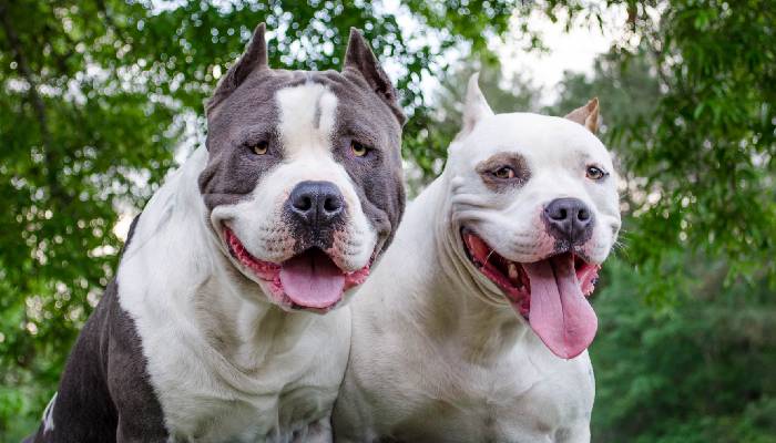 Vincent Lemark Burrell 475 years sentence: 475 വർഷം തടവ്, 57 -കാരൻ വള ...