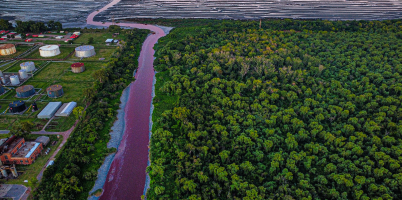 River Turns Blood Red ചോരച്ചുവപ്പ് നിറമായി നദി, വെള്ളത്തിന് പകരം ...
