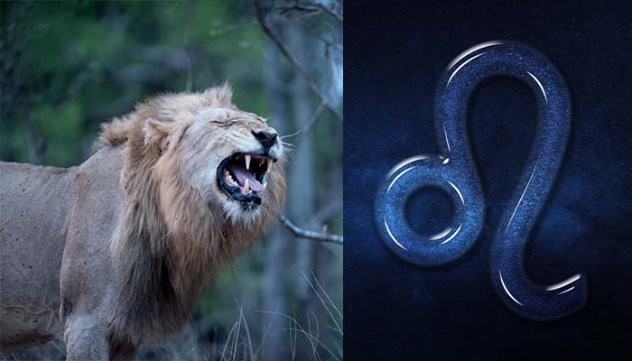 10 Traits of Leo: Here's how you should deal with challenging traits of ...