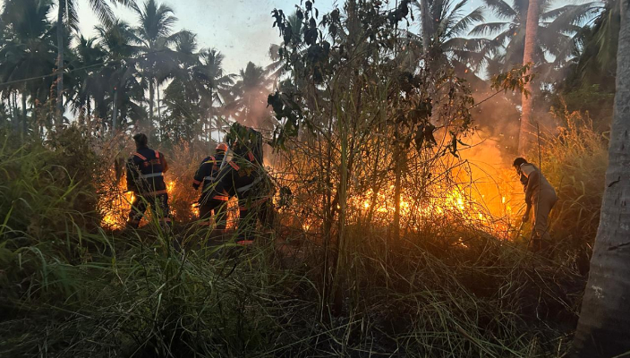 Latest Malayalam News, ഏറ്റവും പുതിയ മലയാള വാർത്ത, Top News Online ...