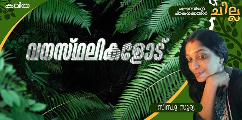Malayalam Poem: വനസ്ഥലികളോട്, സിന്ധു സൂര്യ എഴുതിയ കവിത | Chilla Malayalam Poem By Sindhu Surya ...