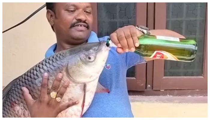 Viral Video : மீனை வற்புறுத்தி பீர் குடிக்க வைக்கும் வீடியோ வைரல் ...