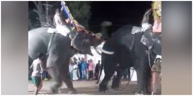 elephant run amok while celebration in temple തിരുവല്ല ശ്രീവല്ലഭ ...