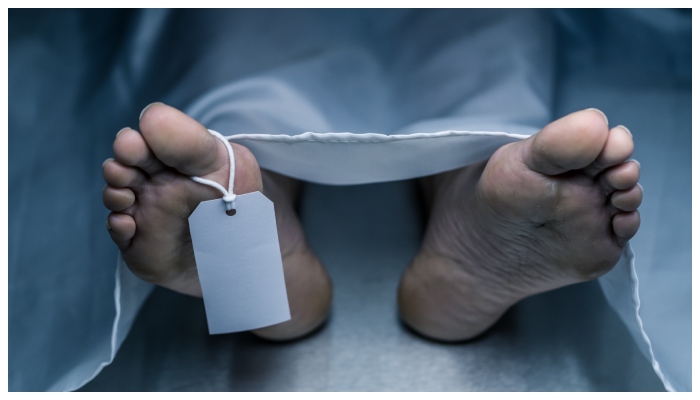 Madhya Pradesh: 64-year-old man killed after objecting to loud music ...