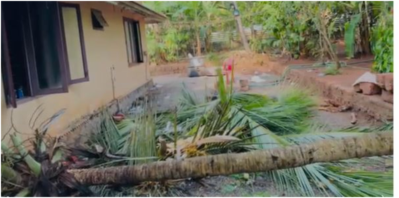 Accident after coconut tree falls during Iftar gathering in Kappur ...