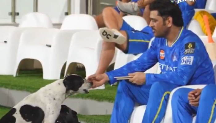 IPL 2025: Heartwarming moment! MS Dhoni feeds a dog during Chennai ...