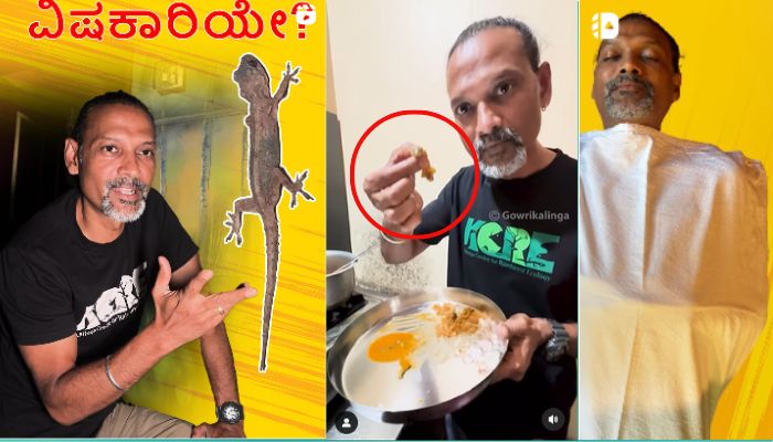 lizard fallen food eating: ಹಲ್ಲಿ ಬಿದ್ದ ಆಹಾರ ವಿಷವಲ್ಲವೆಂದು ಹಲ್ಲಿಯ ಸಾಂಬರ್ ...