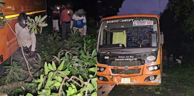 KSRTC swift bus accident:റോഡിൽ മാങ്ങ പെറുക്കുന്നവർക്കിടയിലേക്ക് കെഎസ്ആർടിസി പാഞ്ഞുകയറി അപകടം; 3 ...