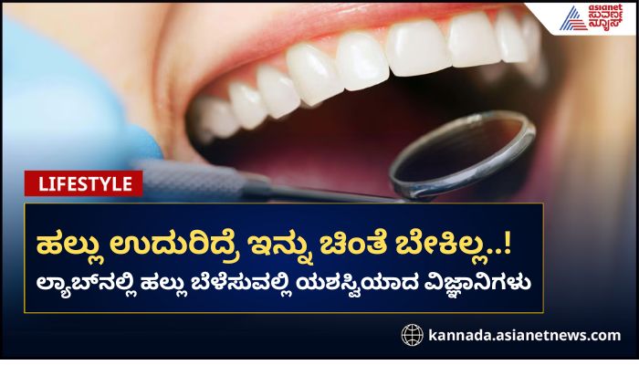 Scientists Grow Human Tooth in Lab for the First Time: Revolutionary ...