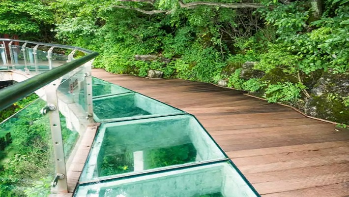 Mumbai's Elevated Nature Trail: Check Timings, Tickets, and Highlights ...