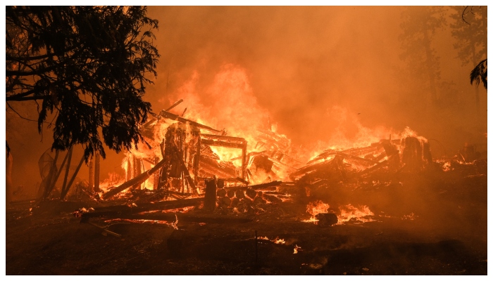 Monkey dust: 'മങ്കി ഡസ്റ്റ്' എന്ന ലഹരി ഉപയോഗിച്ചു, പിന്നാലെ നഗ്നനായി ...