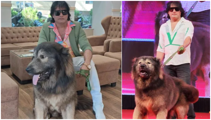 Satheesh Lied About Owning 50 Crore Wolf Dog ED Raid live news 50 കോടിയുടെ പട്ടിയെ വാങ്ങിയെന്ന് ...