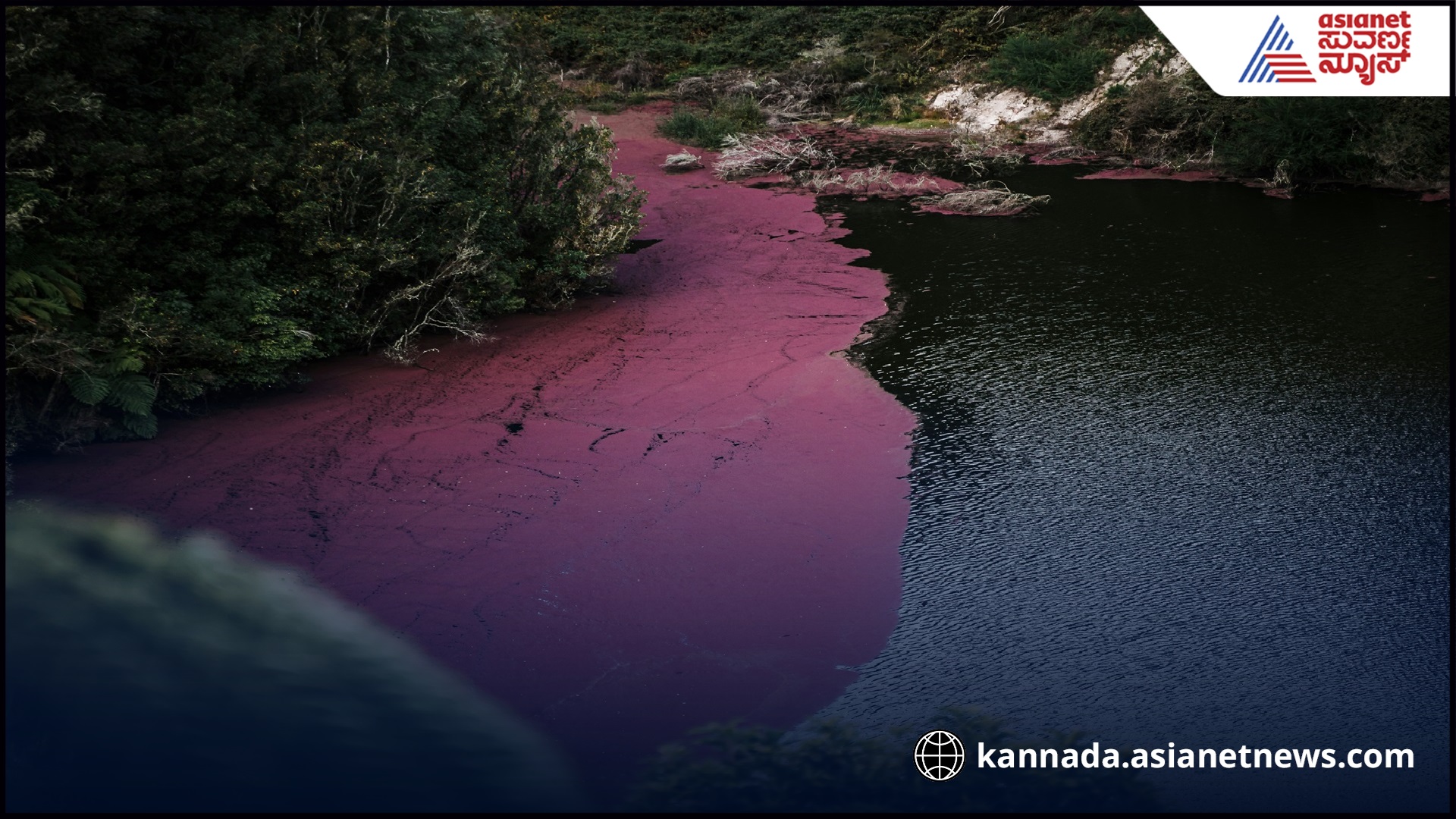 Blood River of India: ಯಾವ ನದಿಯನ್ನು ಭಾರತದ ರಕ್ತ ನದಿ ಎನ್ನುತ್ತಾರೆ? ಉತ್ತರ ...