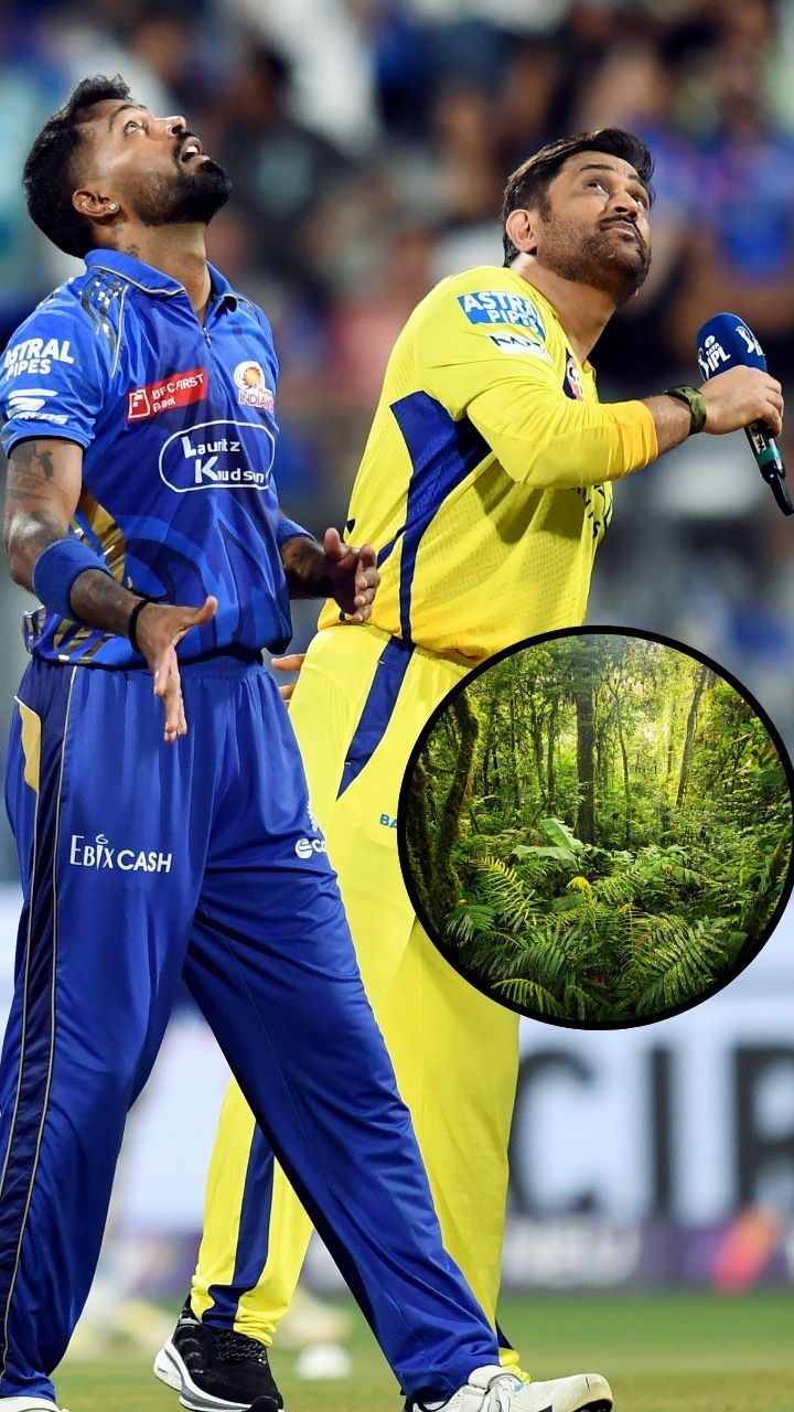 IPL 2025 में सबसे ज्यादा पेड़ लगाने वाली टीमें | Trees Planted By Each ...