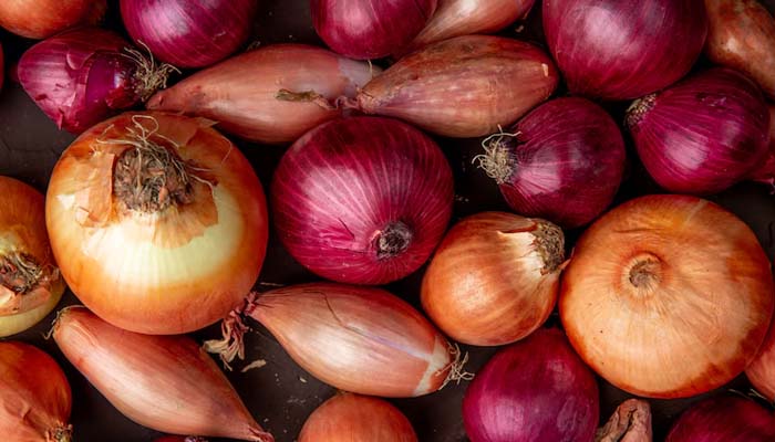 Want your Onions to last longer? Here’s why you should NEVER store them ...