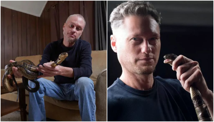 US man let snakes bite him 202 times | Us Man Let Snakes Bite Him 202 ...