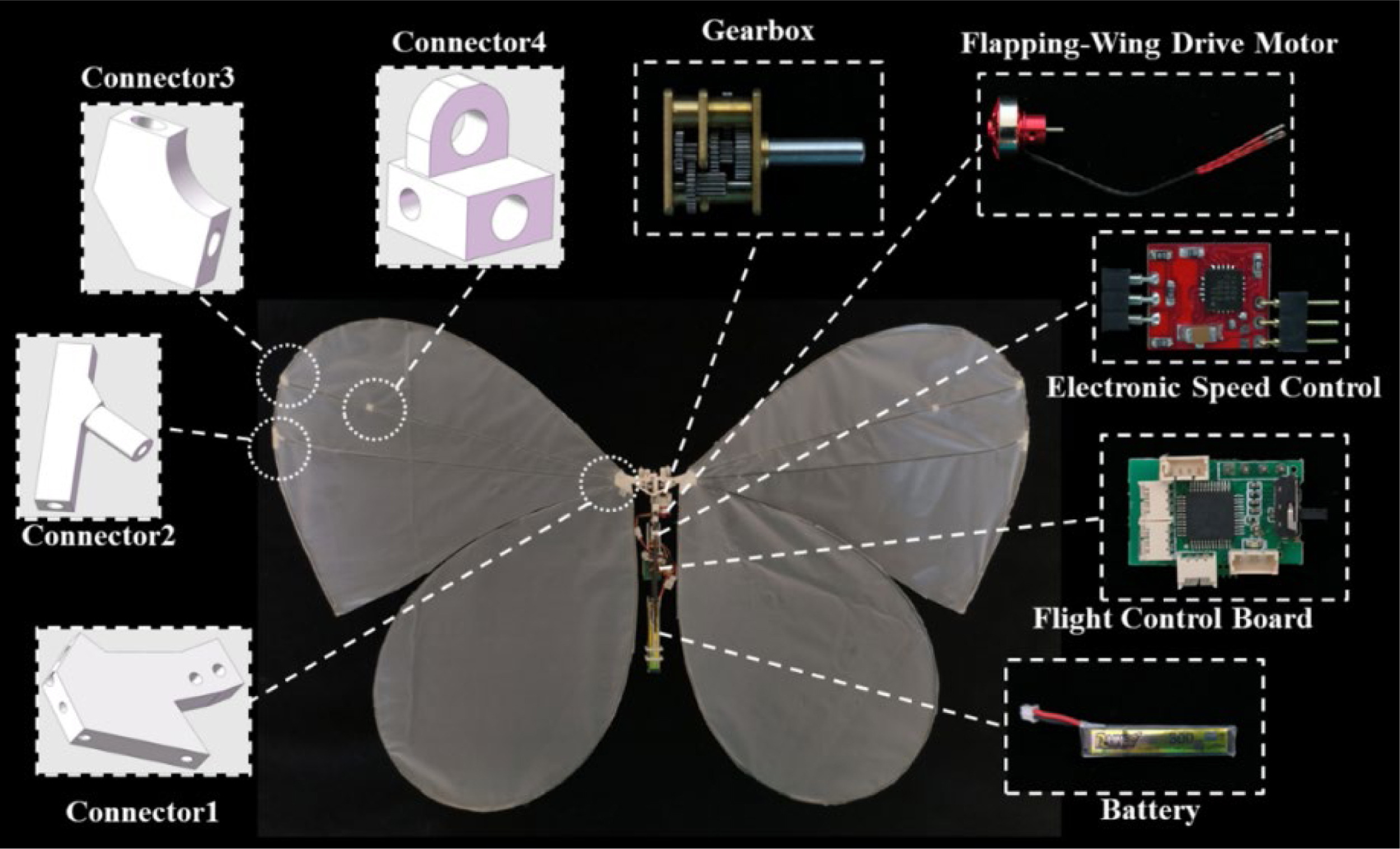 USTButterfly ರೋಬೋಟ್ ಚಿಟ್ಟೆ: ವಿಪತ್ತು ನಿರ್ವಹಣೆಯಲ್ಲಿ ಚೀನಾ ಹೊಸ ಆವಿಷ್ಕಾರ ...
