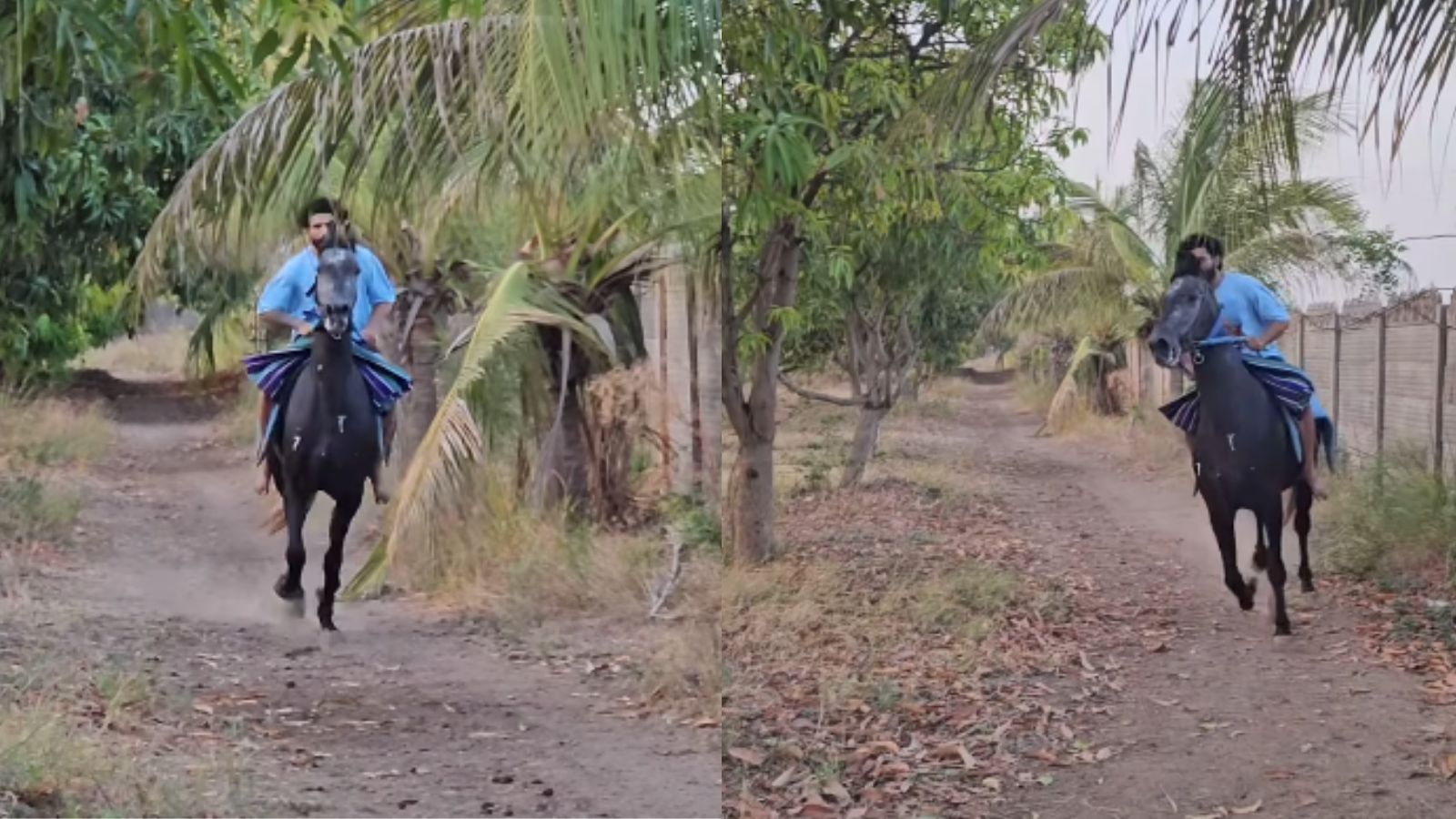 Ravindra Jadeja horse riding video goes viral: జడేజా గుర్రపు స్వారీ వీడియో వైరల్.. మీరు చూశారా ...
