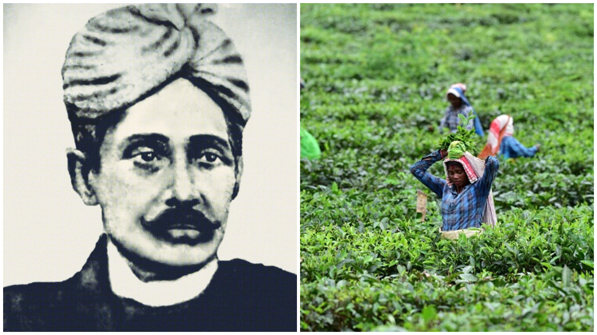 India Untold: The forgotten legacy of Maniram Dewan, India’s first tea ...
