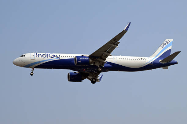 Indigo flight; 'തൊഴുത് അപേക്ഷിച്ചിട്ടും കടത്തിവിട്ടില്ല, കണ്‍മുന്നില് ...