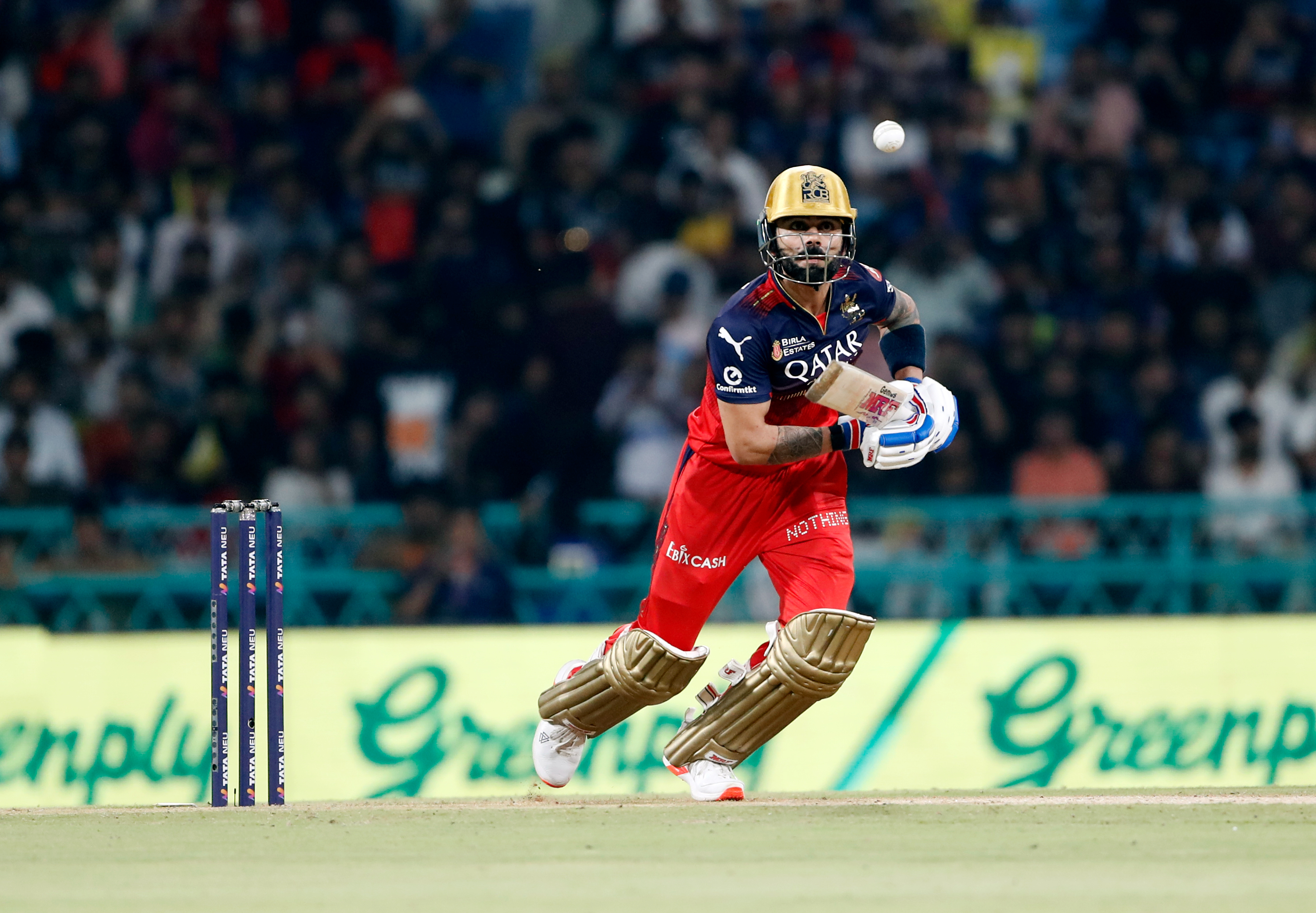 IPL 2025, PBKS vs RCB Qualifier 1: How Virat Kohli has performed in the playoffs? | Asianet Newsable