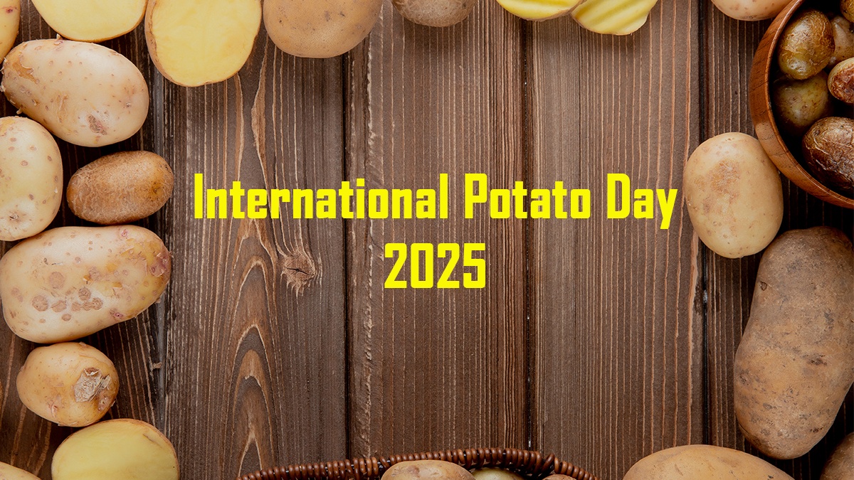 International Potato Day: आलू से बनाएं ये 6 इंटरनेशनल डिश, उंगलियां ...