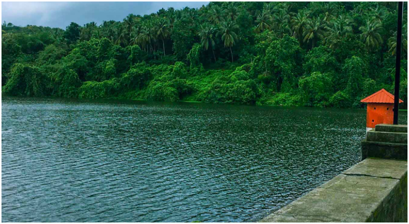 ശക്തമായ മഴയിൽ ജലനിരപ്പ് ഉയർന്നു, പൂമല ഡാം ഷട്ടറുകള്‍ തുറക്കമെന്ന് ...