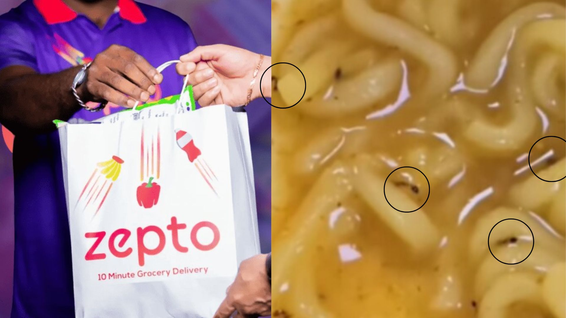 ಝೆಫ್ಟೋದಿಂದ ಆರ್ಡರ್ ಮಾಡಿದ ಮ್ಯಾಗಿಯಲ್ಲಿ ಸತ್ತ ಇರುವೆಗಳ ರಾಶಿಯೇ ಸಿಕ್ತು ...