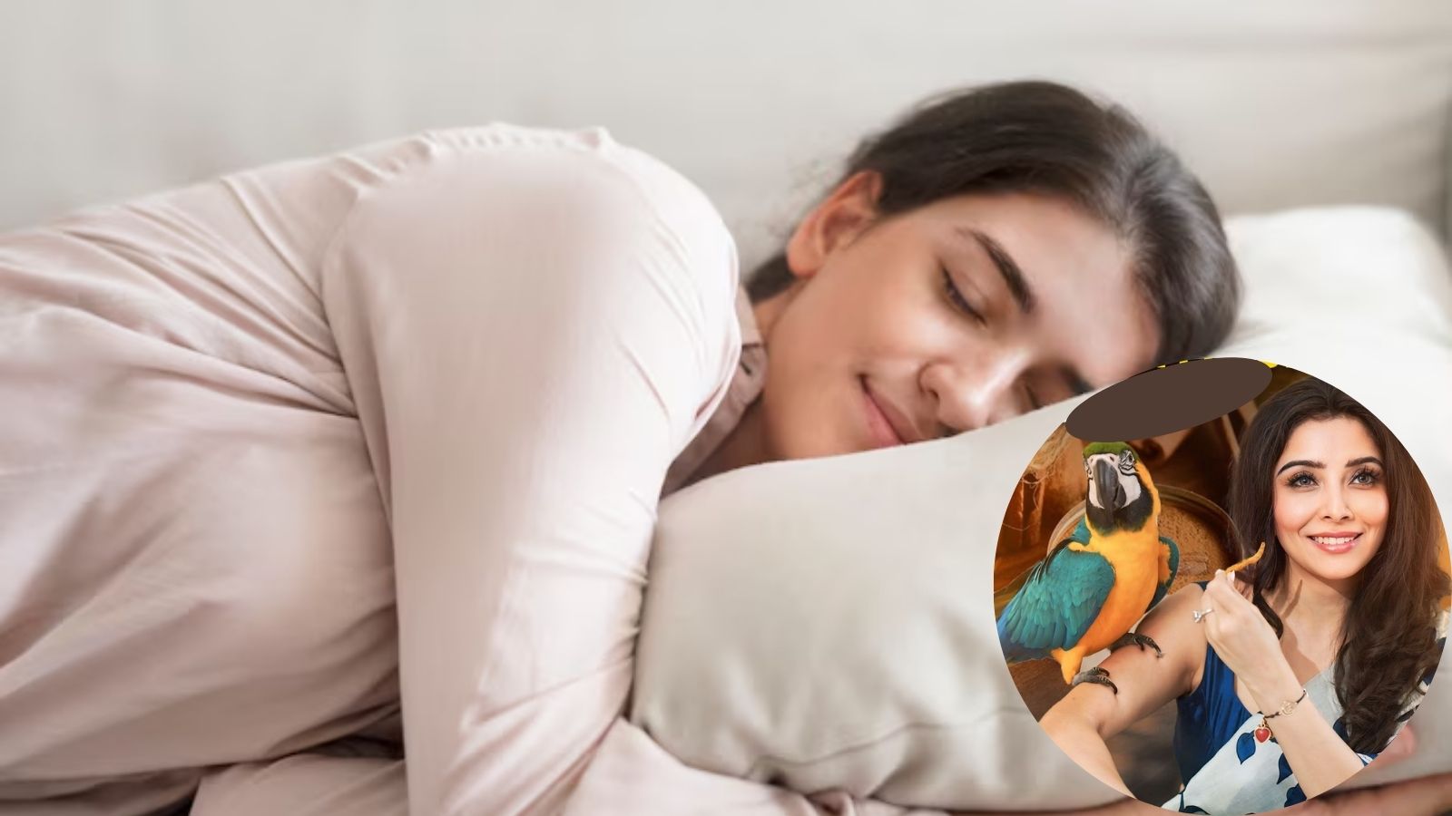 টাকা ও প্রেমের সমস্যা? বালিশের নিচে রাখুন এই জিনিস, তারপরেই কেল্লাফতে | Vastu Tips For Money And ...